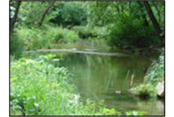 Delaware County, Iowa - Conservation Parks