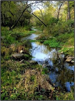 Delaware County, Iowa - Conservation Parks